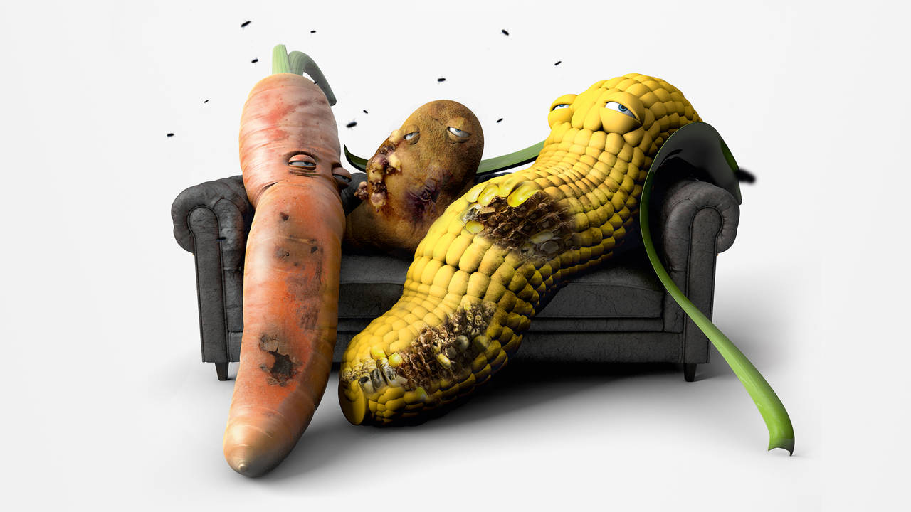 Seid kein faules Gemüse! Werbung für die (Bio)Tonne von Orange Cube